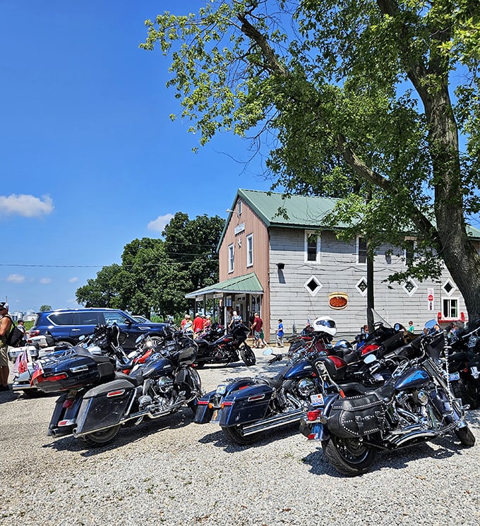 On busy days, motorcycles fill the parking lot - evidence of the Moonshine Store's reputation among riders seeking road trip perfection.