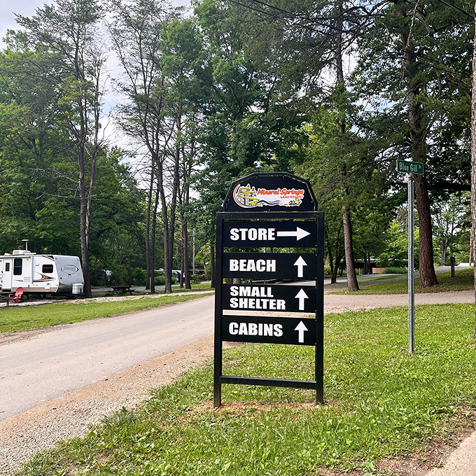 Choose your own adventure: every arrow points to another memory waiting to be made at this nostalgic summer playground.