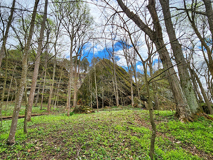 Forest Trail: Wander past mossy, tilted rock slabs and soaring trees as you explore the vibrant and ancient landscape of this scenic park.