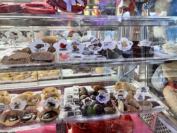 The chocolate display case reveals rows of handcrafted confections, each one promising a moment of pure, adult-approved indulgence.