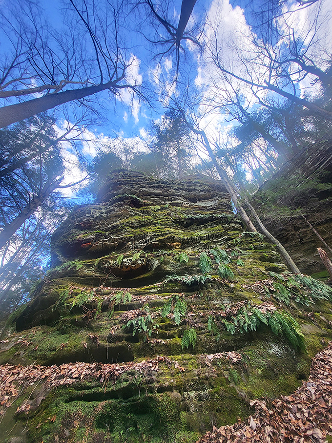 Moss transforms ordinary rock into an emerald masterpiece. Nature's decorator has been busy for centuries here.