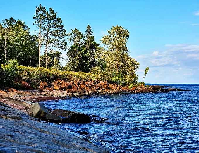 The meeting of forest and lake creates a quintessential North Shore vista that captures the wild beauty of Minnesota's natural landscape.
