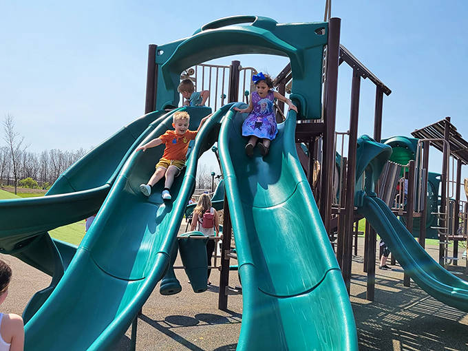 Double the fun with twin slides! Children race down side-by-side, their laughter creating the park's joyful soundtrack on sunny afternoons.