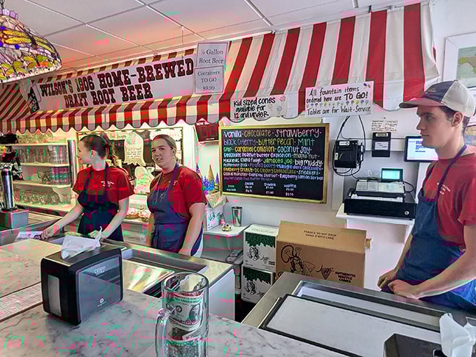 Wilson's ice cream counter, where friendly staff scoop happiness into cones and cups with practiced precision and warm smiles.