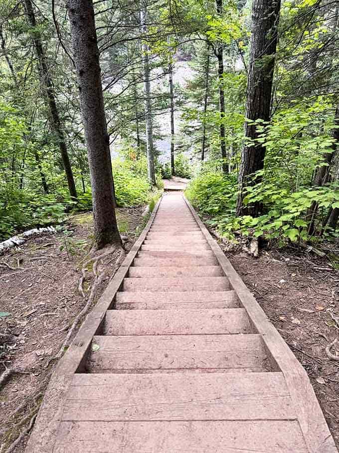These wooden steps aren't just trail infrastructure &ndash; they're stairways to natural paradise, each one bringing you closer to the falls.