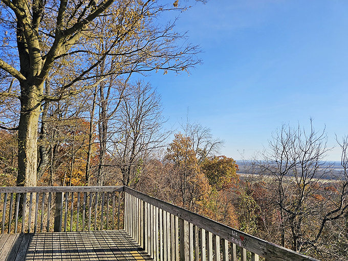 Winter reveals the bones of the landscape &ndash; this viewing platform offers stark, minimalist beauty when trees stand bare.