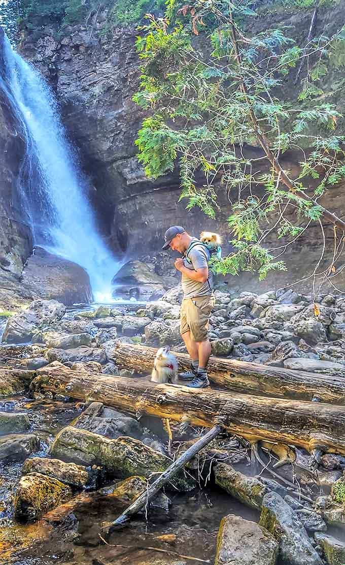 Visitors with their furry friends prove that waterfall appreciation is a cross-species activity, though the dogs are probably just happy about the walk.