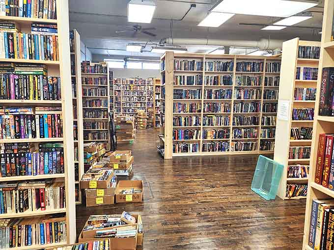 A bibliophile's dream landscape stretches into the distance, promising discoveries that could change a reader's life forever.