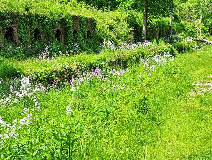 Spring brings a riot of wildflowers, nature's colorful rebellion against the once-sooty industrial landscape that dominated this peaceful valley.