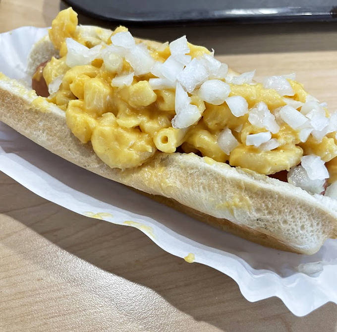 The mac and cheese dog defies conventional topping wisdom, creating a creamy, cheesy masterpiece topped with diced onions for perfect flavor balance.