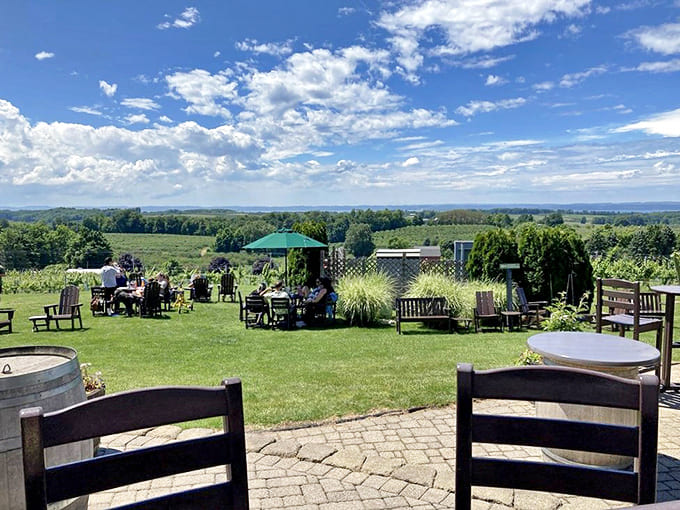 Outdoor Patio: Garden chairs scattered across a manicured lawn invite guests to sip leisurely while drinking in panoramic views that rival any postcard.