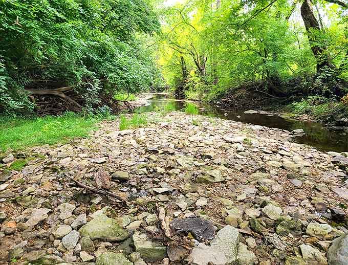 The Bill Klingner Trail offers nature's version of therapy – where rushing water over stones drowns out life's complications one step at a time.