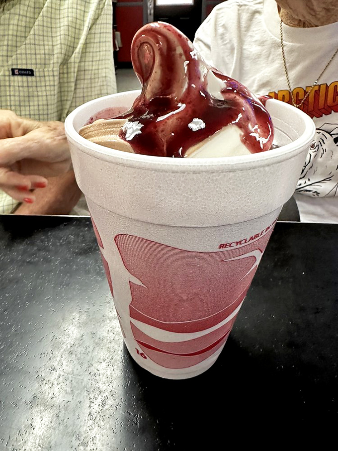 A black raspberry sundae swirls with purple promise, topped with a dollop of whipped cream that melts slowly into the creamy depths below.