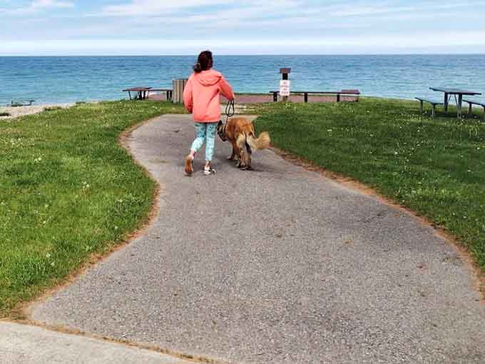 Four-legged family members enjoy the lake view too &ndash; this path welcomes daily dog walks with scenic rewards for both species.