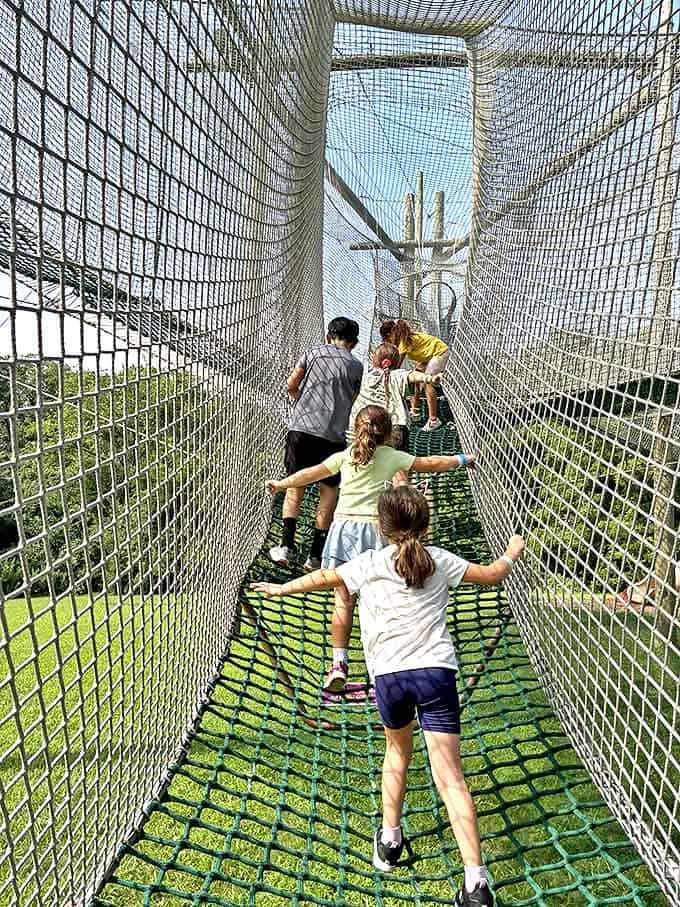 Young explorers navigate a suspended bridge, their outstretched arms creating a perfect balance between caution and the pure joy of adventure.