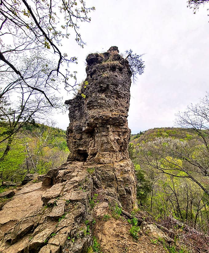 Chimney Rock stands like nature's skyscraper, a limestone monument that's been impressing visitors since before selfies existed.