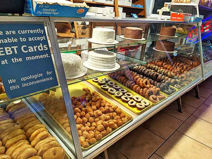 A treasure chest of carb-loaded joy – each shelf offering different paths to happiness, all equally valid.