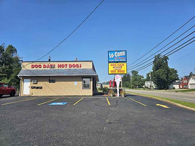 Easy parking and convenient location mean nothing stands between you and hot dog happiness at this accessible Canton treasure of a restaurant.
