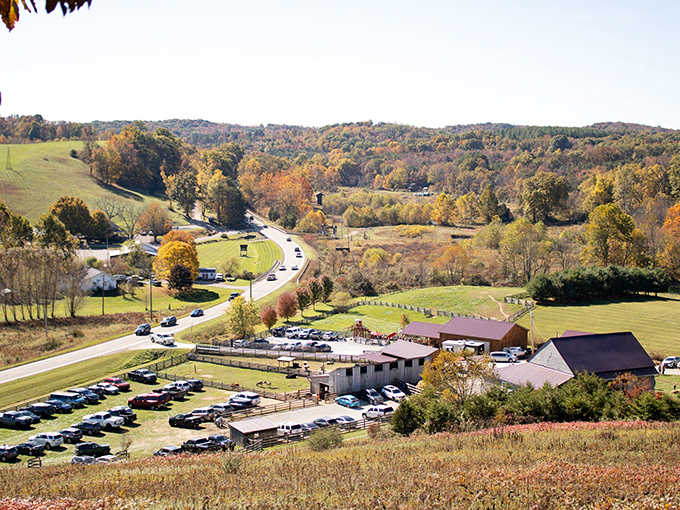 Autumn transforms Fox's High Rock Farm into a painting come to life, with rolling hills and colorful foliage framing the animal paradise.