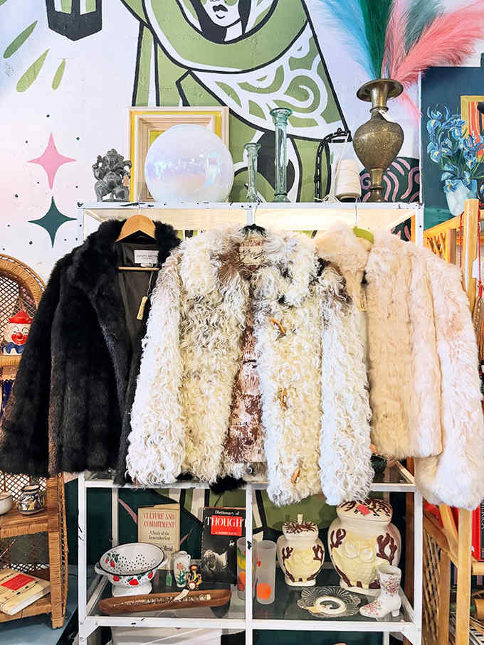 Tactile treasures from winters past create a textural feast against a backdrop of philosophical tomes and vintage ceramics.