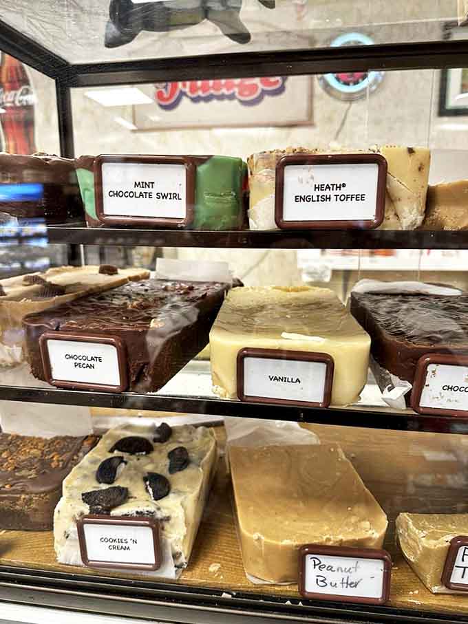 Fudge varieties lined up like sweet soldiers—each square promising a moment of pure bliss that makes adult problems temporarily disappear.