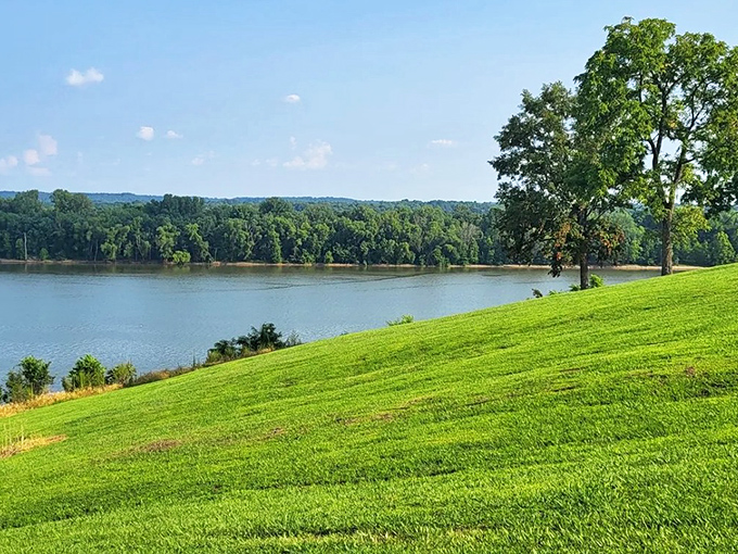 Rolling hills meet flowing water at this breathtaking vista point, where the Ohio River curves majestically through the Illinois landscape.