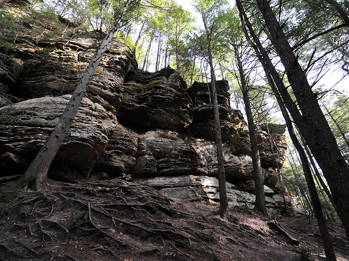Geological layer cake reveals Earth's autobiography, with each stratum telling tales of prehistoric Ohio landscapes.