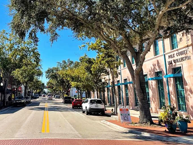 Main Street's canopy of trees creates natural archways that frame the historic buildings, offering shade and Southern ambiance in equal measure.