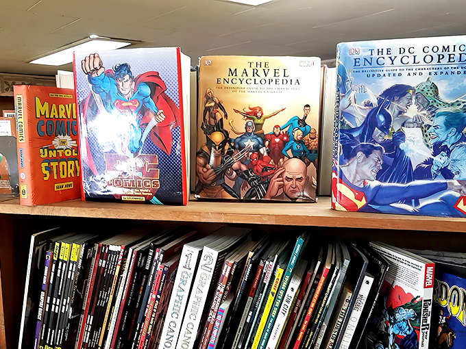 Superheroes guard the comic section, their oversized encyclopedias a reminder that even caped crusaders need proper documentation of their adventures.