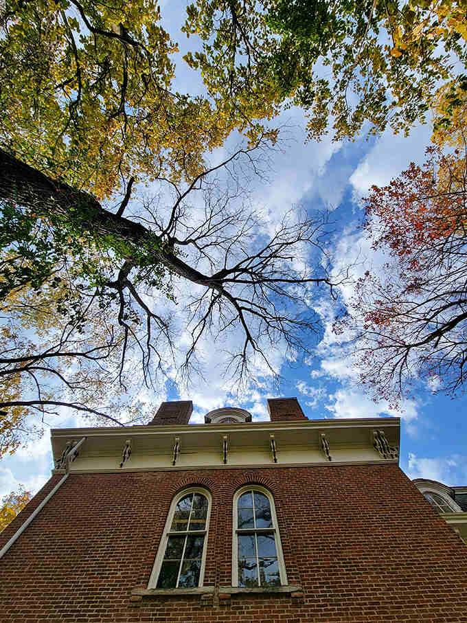 Ancient trees frame the mansion against a brilliant blue sky, their branches reaching upward like nature's own ghost-detecting antennae.