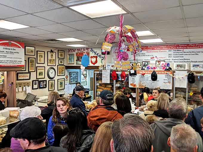 Pączki Day brings crowds that would make Black Friday shoppers look patient, as pastry pilgrims queue for their annual fix.