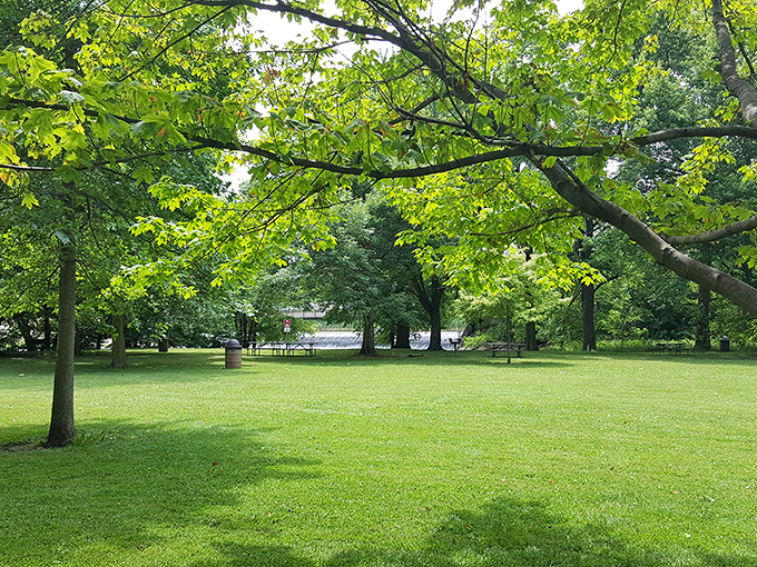 Emerald expanses invite picnics, frisbee games, or simply cloud-watching under the protective canopy of ancient oaks and maples.