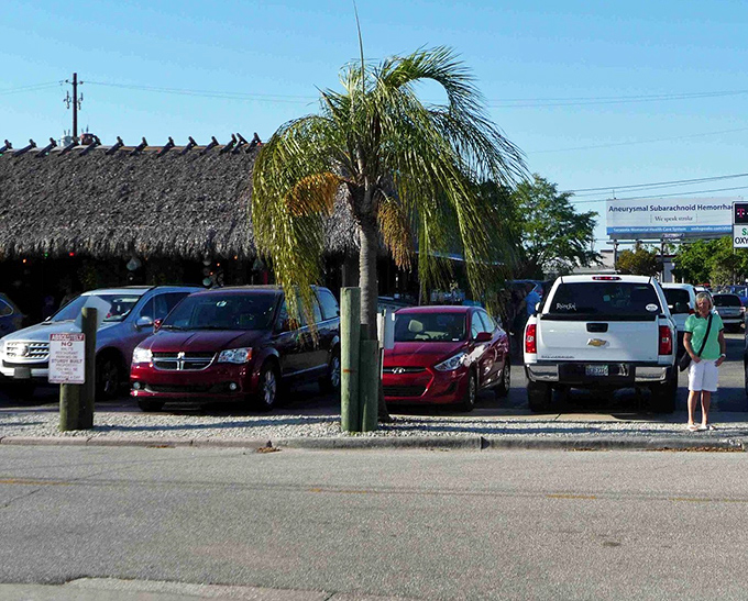 Even the palm trees seem to stand at attention, welcoming hungry visitors to this unassuming temple of seafood that's survived a century of Florida changes.