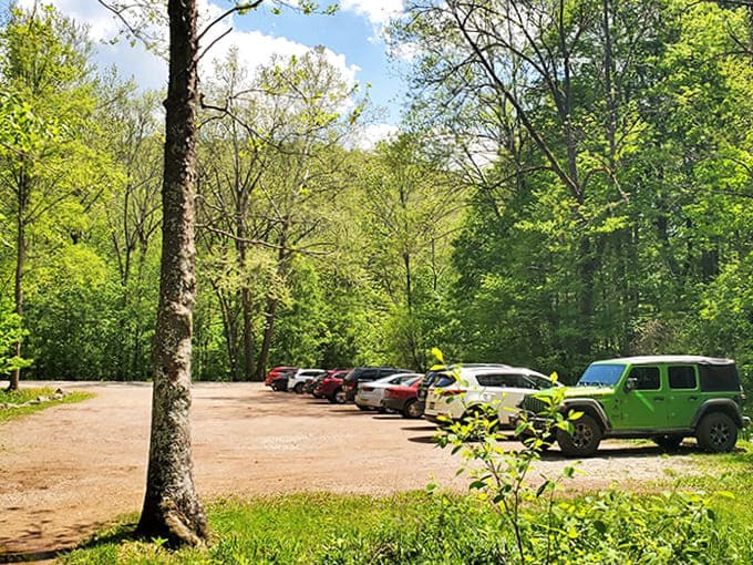 Adventure basecamp: The humble parking area gives no hint of the natural wonders waiting just beyond, keeping 21 Horses Cave's secrets safe.