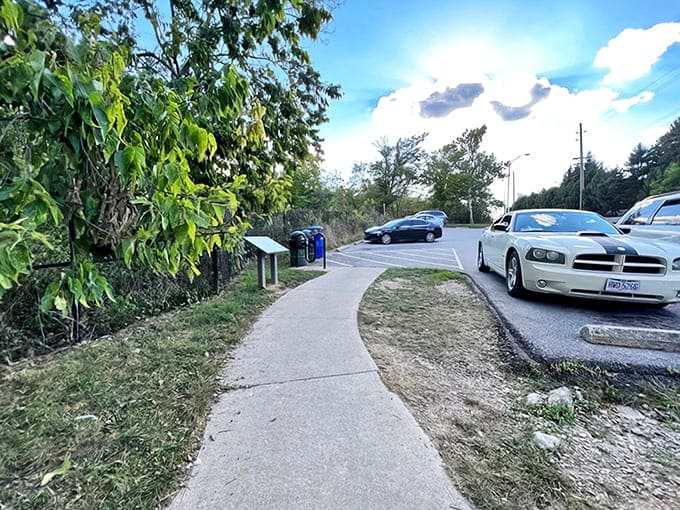 Cars lined up for service at Earl's – a scene that could be from yesterday or fifty years ago, proving that great food transcends time.