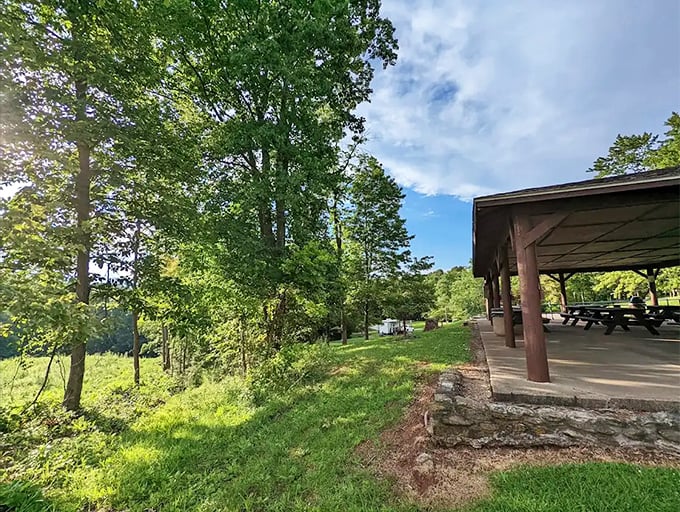 The picnic shelter &ndash; where "roughing it" meets "actually quite comfortable" in a perfect compromise of outdoor dining.