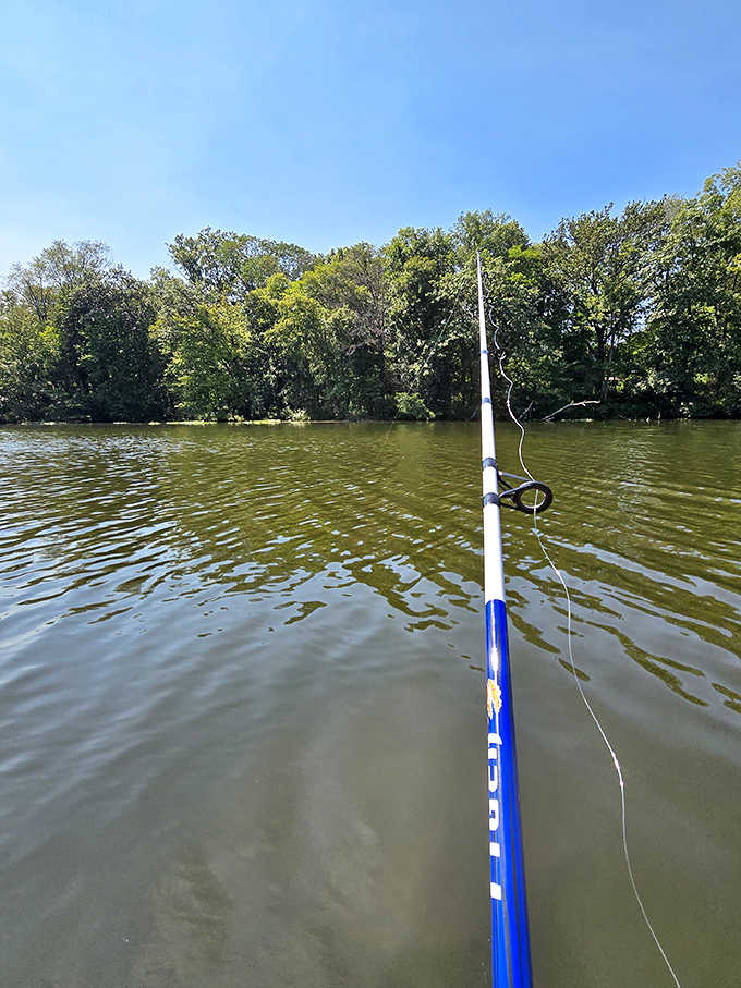 The patient angler's perspective: where a fishing rod becomes a magic wand connecting humans to the mysteries beneath the surface.