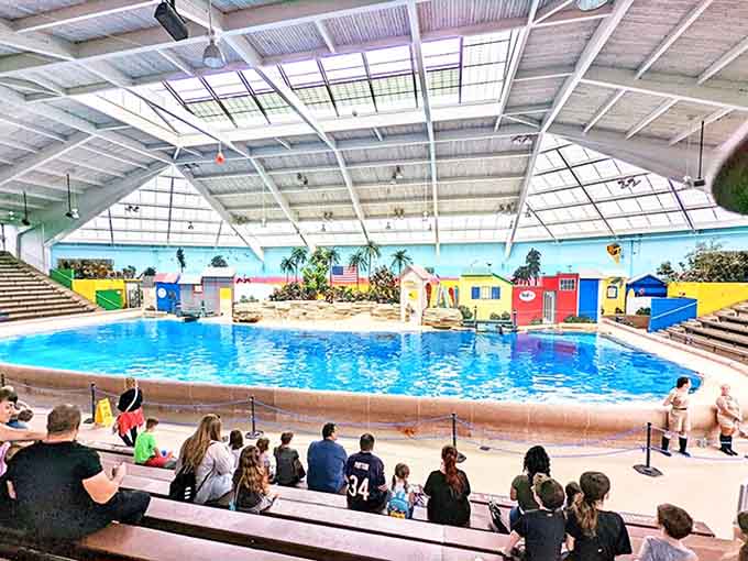 The Seven Seas dolphin show at nearby Brookfield Zoo delights visitors of all ages with aquatic acrobatics and educational entertainment.