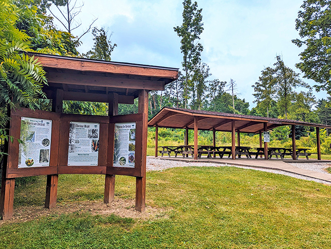 Information central: Mohican's rustic shelter house offers weary hikers a shaded spot to rest while learning about local wildlife. Knowledge and bench seats &ndash; what more could you want?