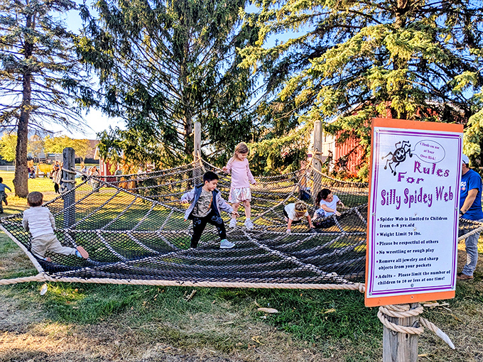 Children bounce across the "Silly Spidey Web," a playground attraction that cleverly disguises exercise as fun while parents mentally calculate how many donuts this activity offsets.