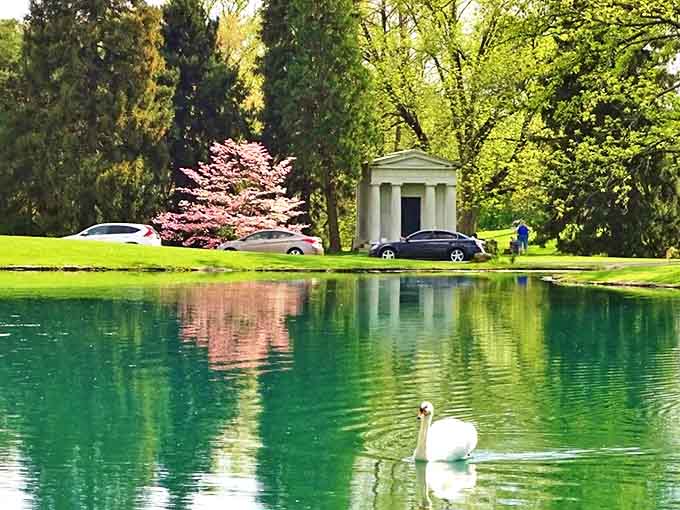 A solitary swan glides across emerald waters, adding living grace to a landscape already rich with beauty and tranquility.