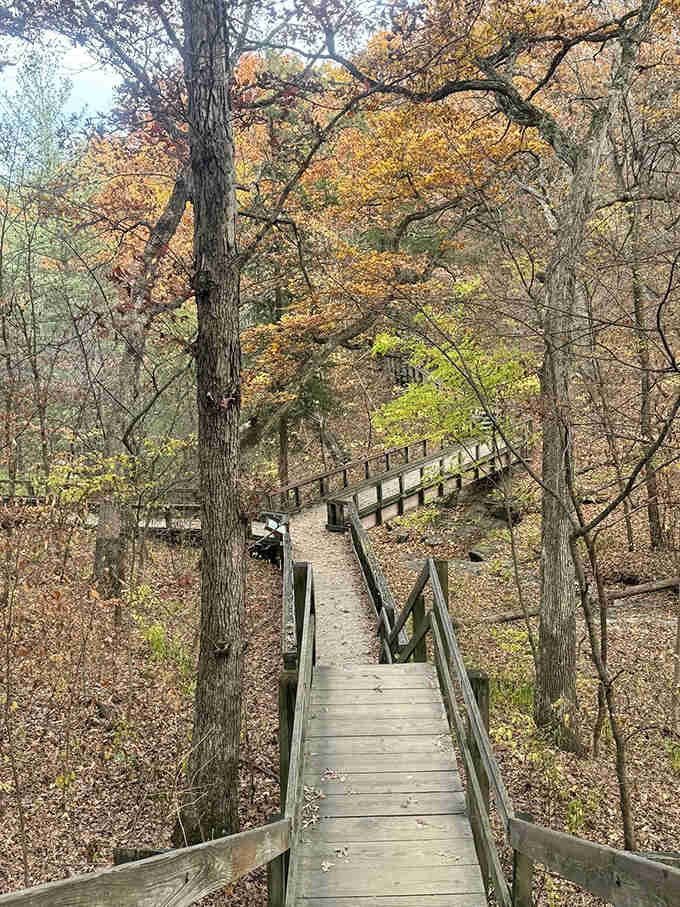 Fall paints the forest in warm hues, creating a perfect backdrop for this winding boardwalk that beckons explorers deeper into the woods.
