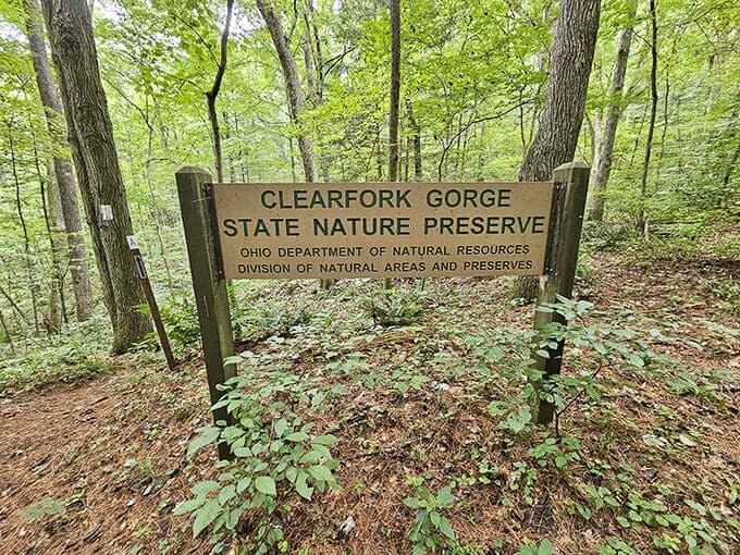 This unassuming sign marks the entrance to one of Ohio's most spectacular natural treasures, like a humble doorway to Narnia.