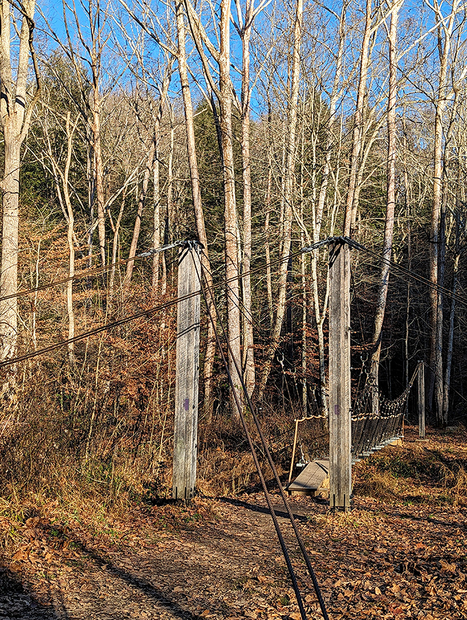 The suspension bridge sways slightly with each step, a reminder that the best paths in life involve a little uncertainty and a lot of trust.