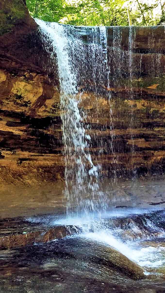 This tall waterfall demonstrates that Illinois can absolutely compete with other states when it comes to impressive natural features.