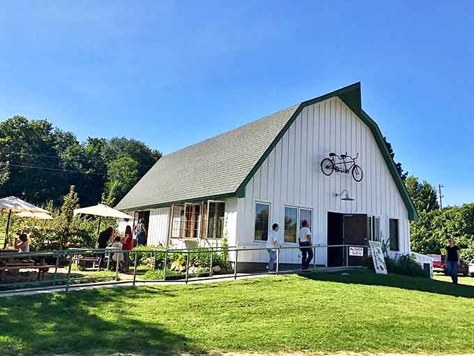 Tandem Cider's classic white barn houses apple alchemy, where Michigan's favorite fruit transforms into complex, refreshing farm-crafted beverages.