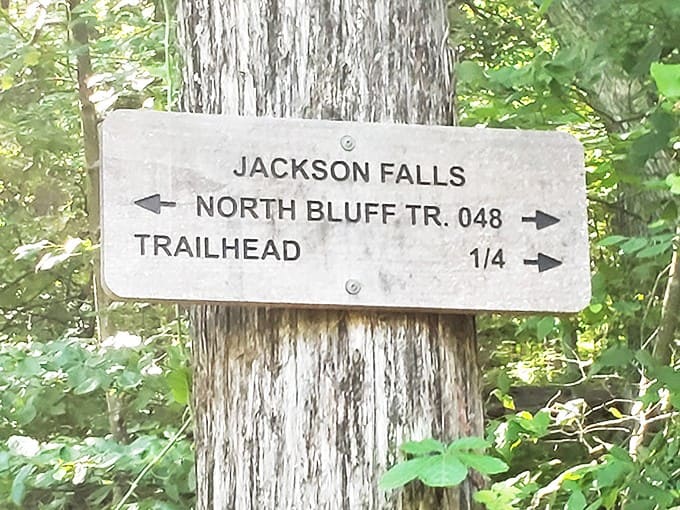 Trail markers are the unsung heroes of outdoor adventures, keeping us from becoming permanent forest residents by accident.