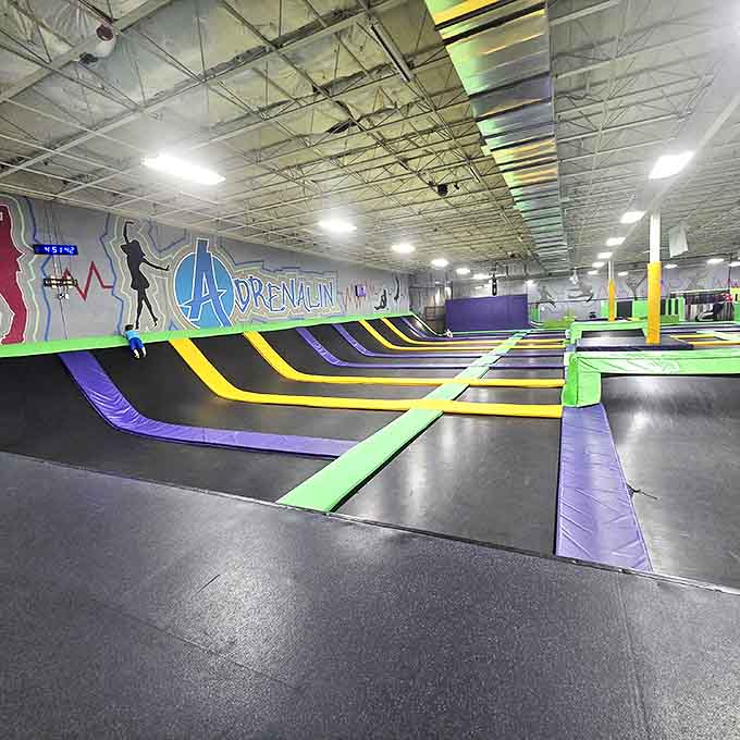 Wall-to-wall trampolines in vibrant yellows, purples, and greens create a bouncy canvas for your inner child to paint masterpieces of joy.