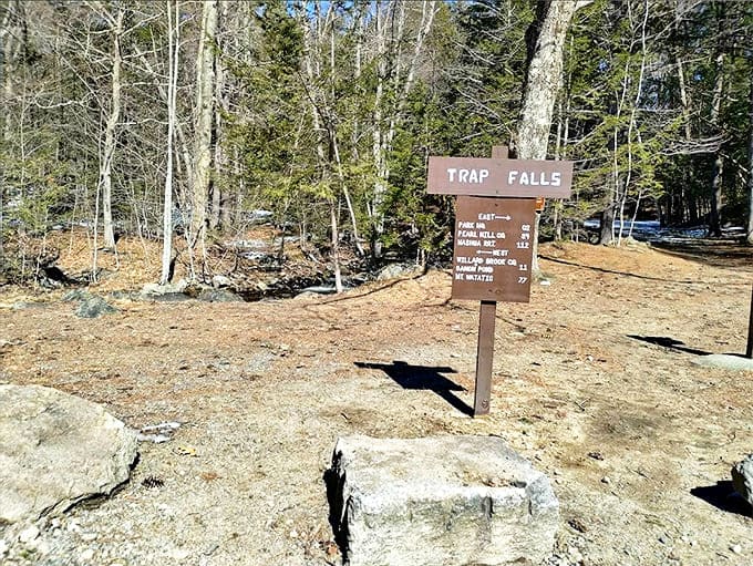 This isn't just a sign; it's an invitation to adventure, a promise of memories, and occasionally, a much-needed confirmation you haven't gotten lost.