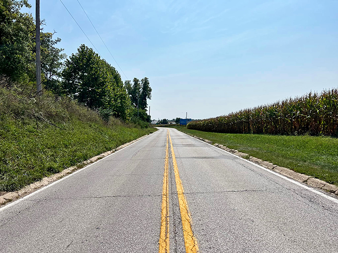 Two Lane Highway: The roads leading to Pittsfield promise adventure in both directions &ndash; toward this charming town or out into the picturesque Illinois countryside that cradles it.